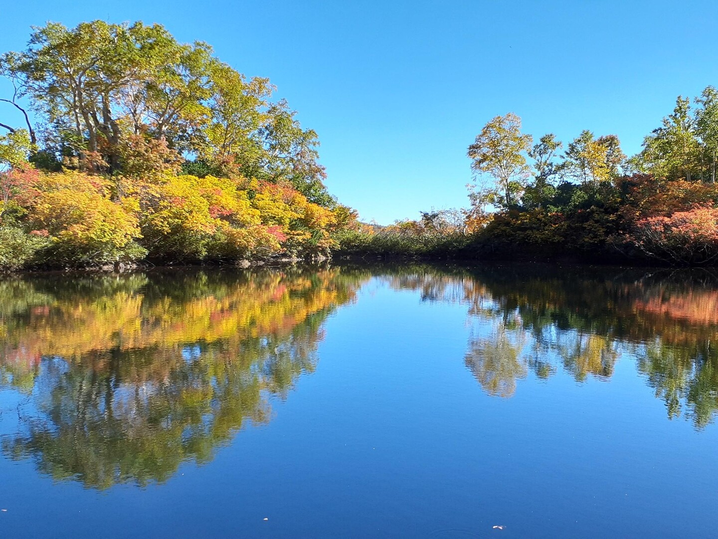 快晴の高原温泉沼巡り / noriGさんの大雪山系・旭岳・トムラウシの活動日記 | YAMAP / ヤマップ