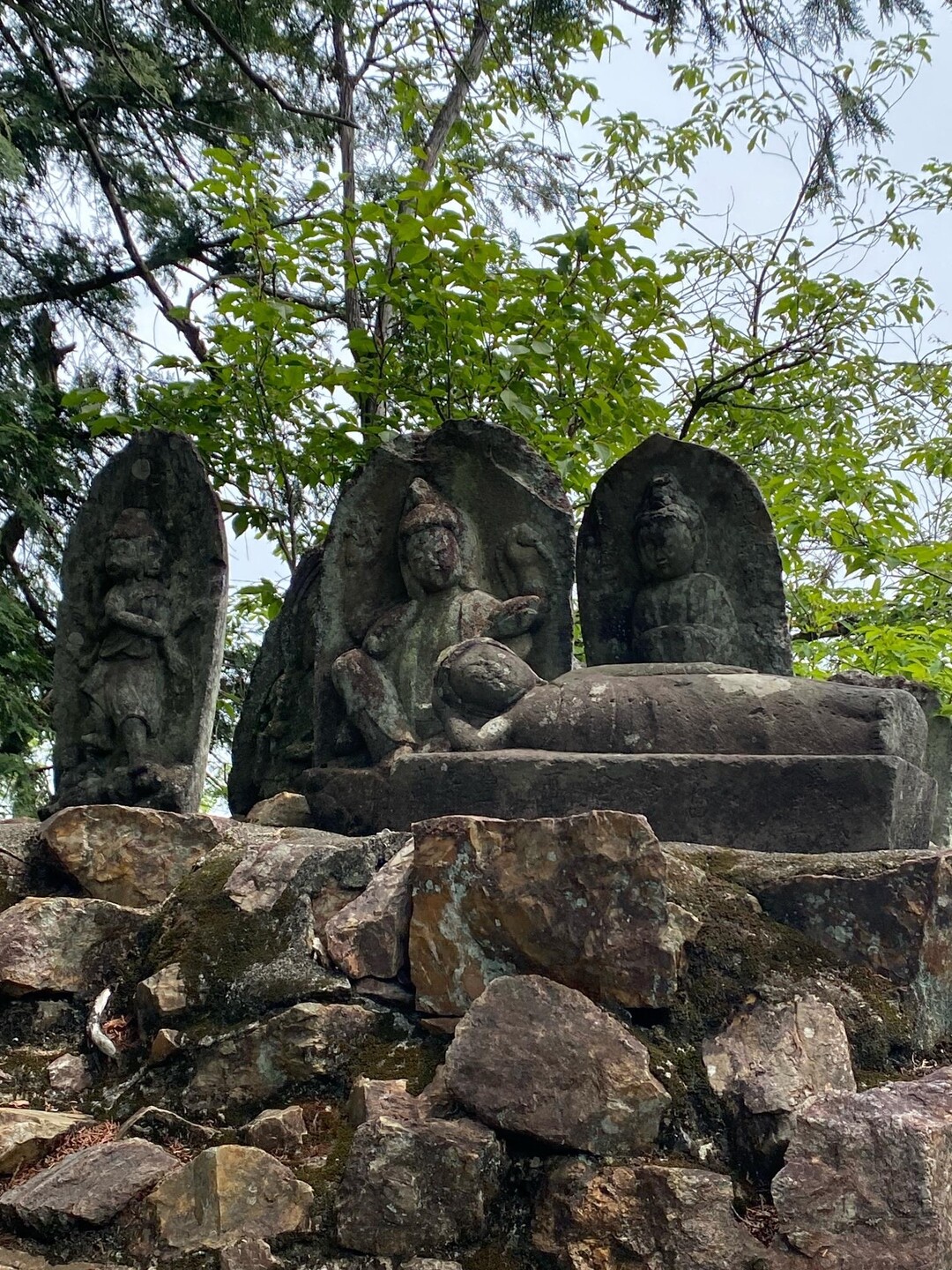 行道山 / mikoさんのウォーキングの活動データ | YAMAP / ヤマップ