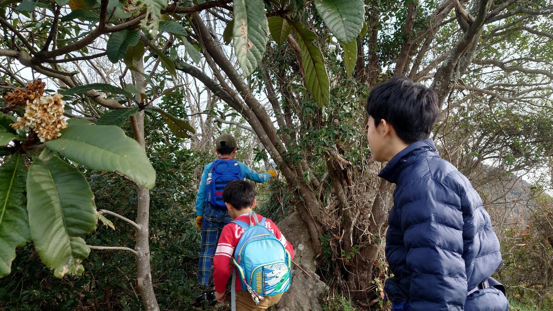 登り納め 本尊山 / とぉるさんの四国遍路その14の活動日記 | YAMAP / ヤマップ