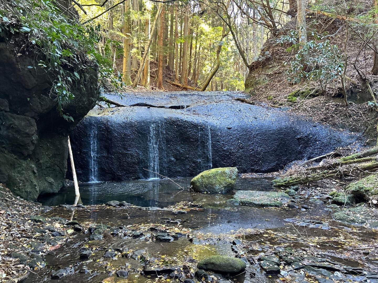 石射太郎山 / genさんの高宕山・寂光山・大塚山の活動データ | YAMAP / ヤマップ