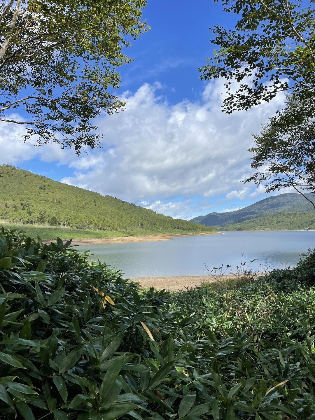 野反湖ハイキング / R-L-Rさんの白砂山・堂岩山・八間山の活動データ | YAMAP / ヤマップ