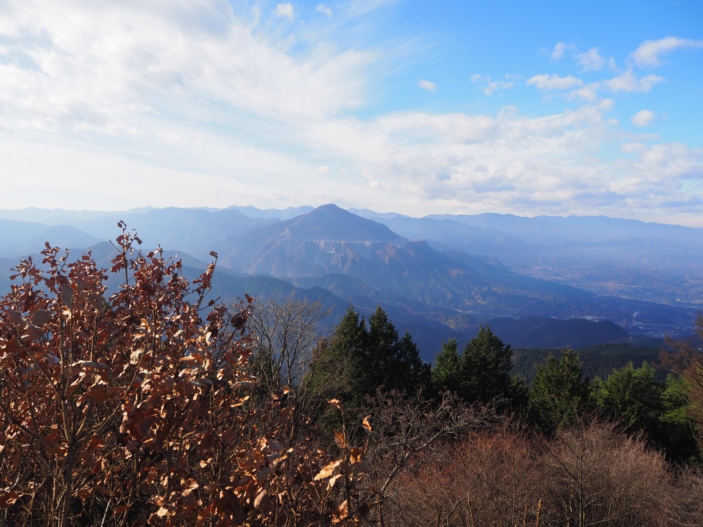 丸山・日向山 / emuさんの丸山の活動データ | YAMAP / ヤマップ