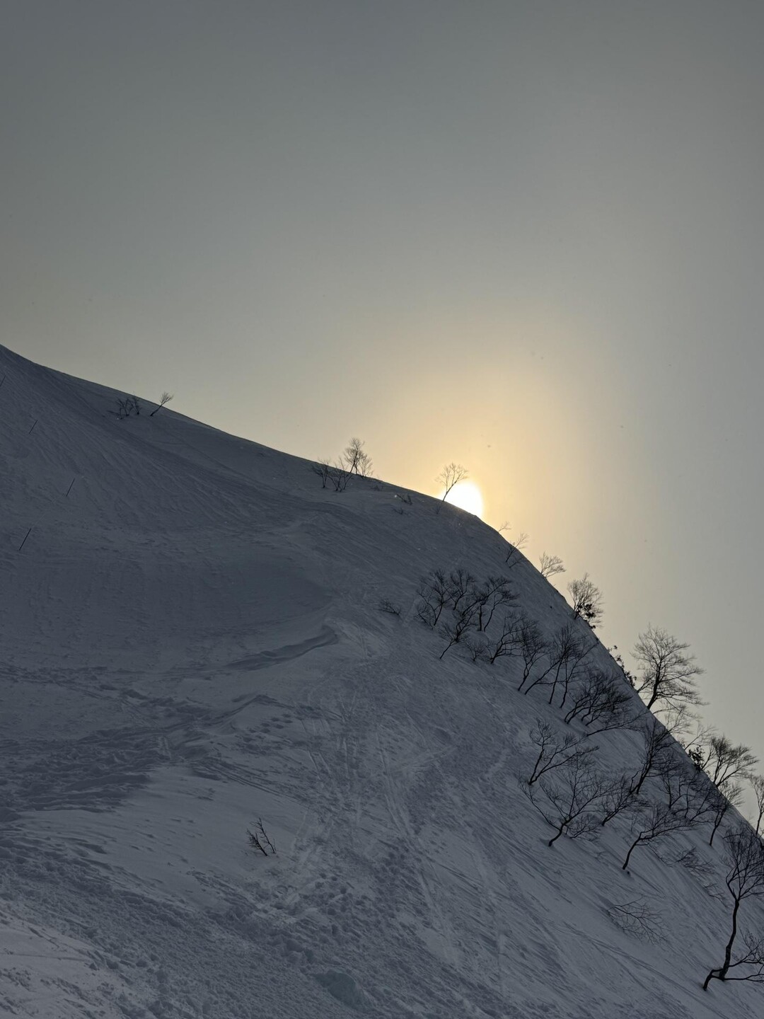熊穴沢ノ頭・谷川岳（トマの耳） / yu-yakeさんの谷川岳・七ツ小屋山・大源太山の活動データ | YAMAP / ヤマップ