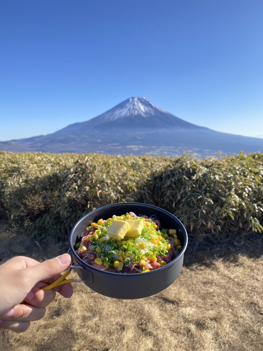 竜ヶ岳 / rock'95さんの毛無山・雨ヶ岳・竜ヶ岳の活動データ | YAMAP / ヤマップ