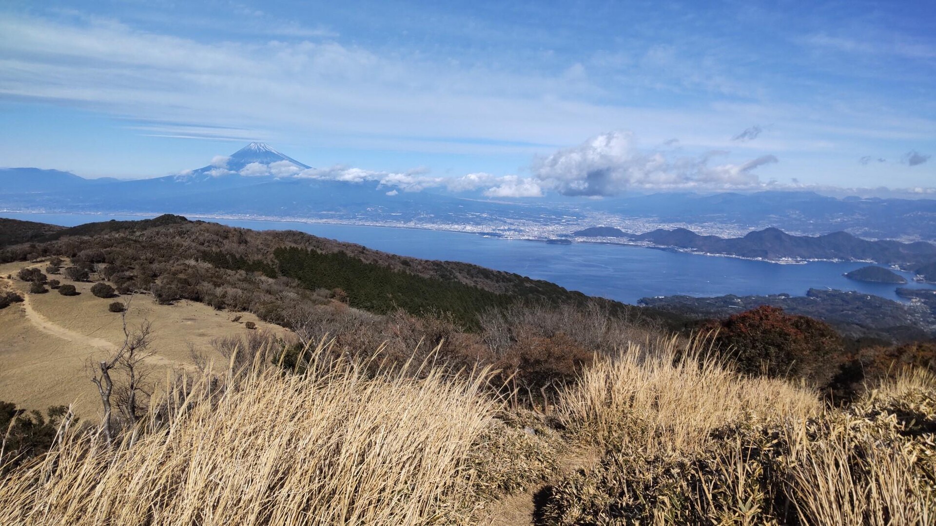 伊豆稜線トレイル→筥湯♨ / Linさんの棚場山・魂の山・猫越岳の活動データ | YAMAP / ヤマップ