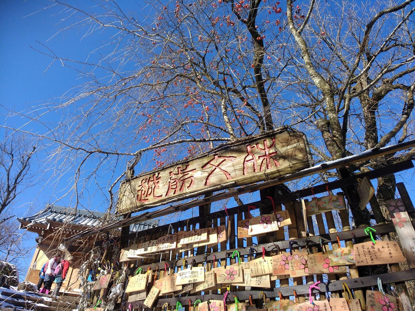 文殊山 / opal糸さんの文殊山の活動データ | YAMAP / ヤマップ