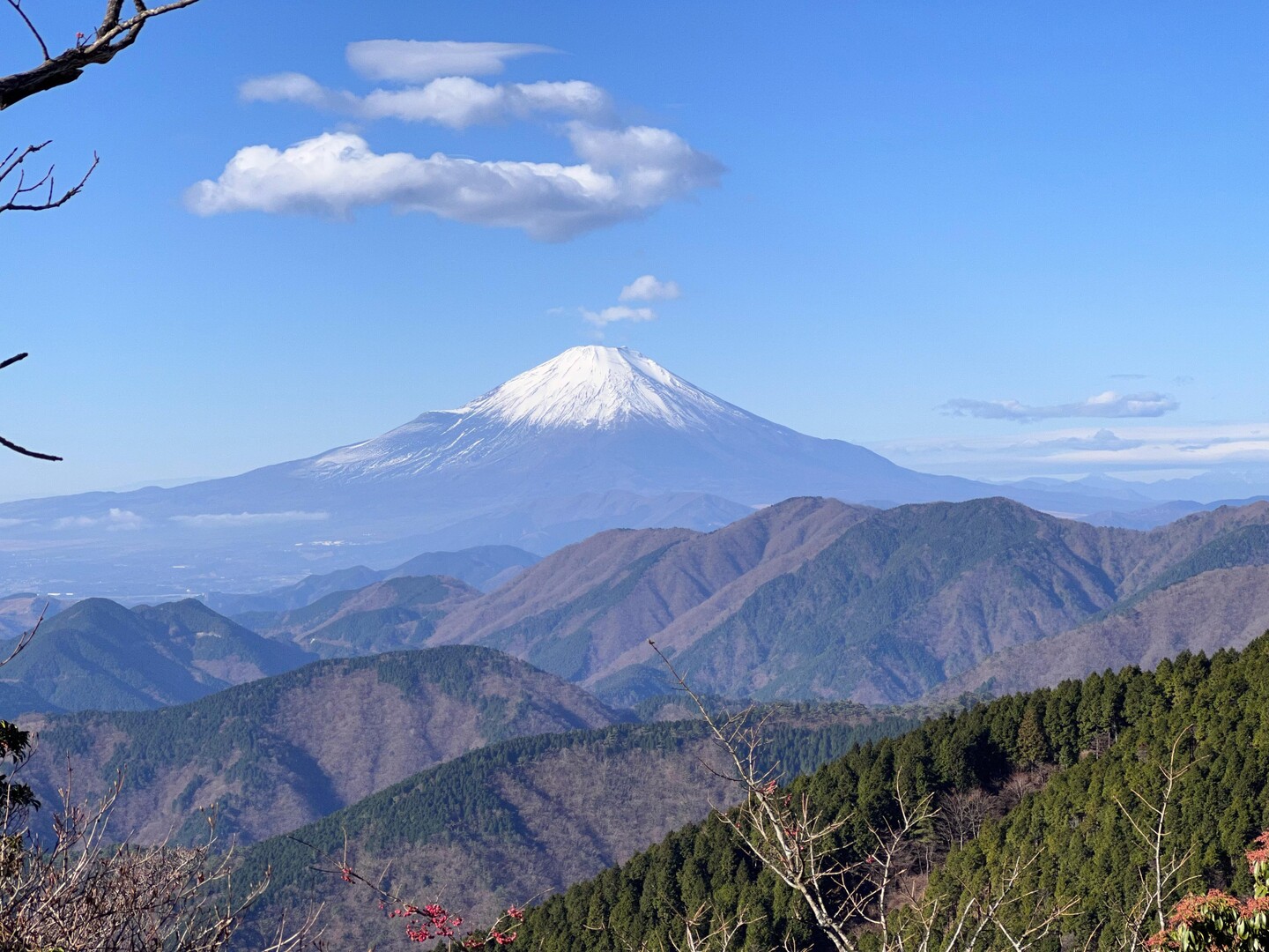 初冬の丹沢表尾根 / ちゅうとろさんの塔ノ岳・丹沢山・蛭ヶ岳の活動データ | YAMAP / ヤマップ