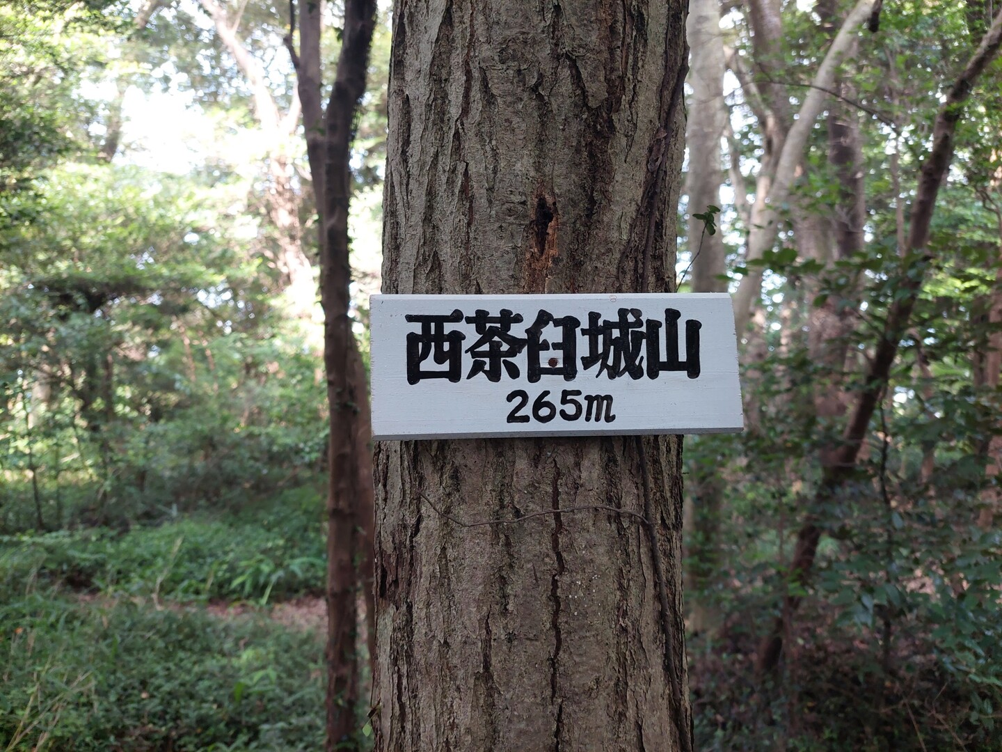 SEIJI～聖～さんの投稿したフィールドメモ | YAMAP / ヤマップ