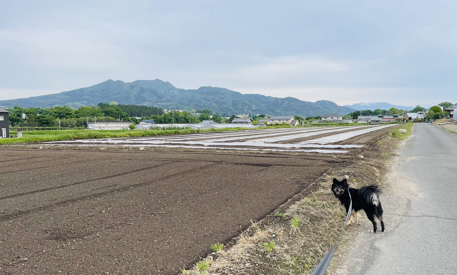 近くて遠いお山かな、、、子持山⛰ 全然、... / kintaさんのモーメント | YAMAP / ヤマップ
