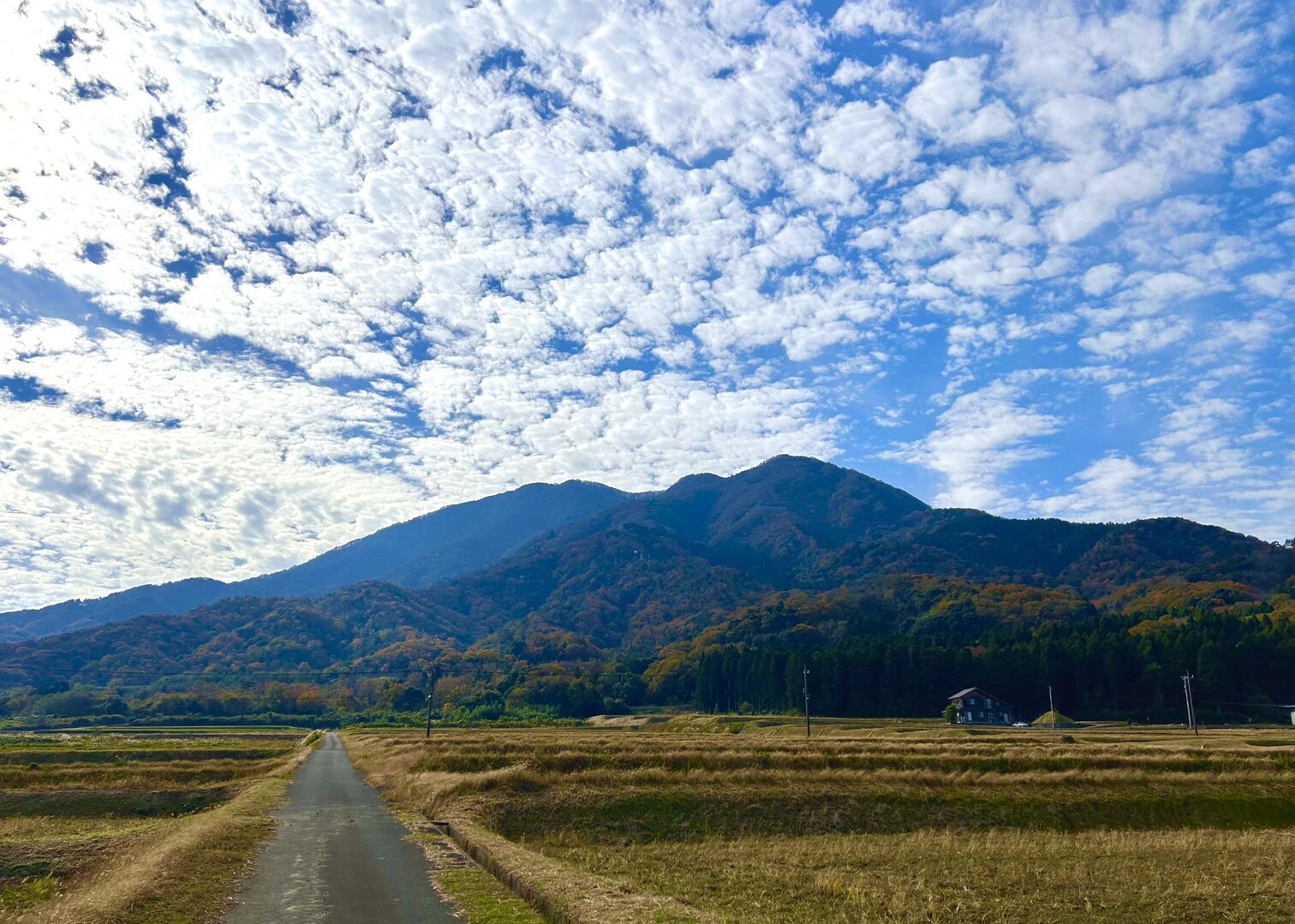 野坂岳⛅️ / mineさんの野坂岳の活動データ | YAMAP / ヤマップ
