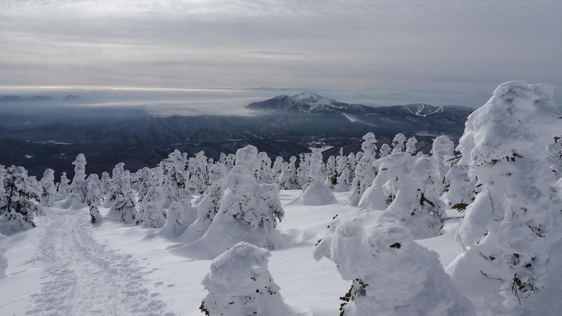 西大巓・西吾妻山 / sisisisi_siさんの吾妻山・一切経山の活動データ | YAMAP / ヤマップ
