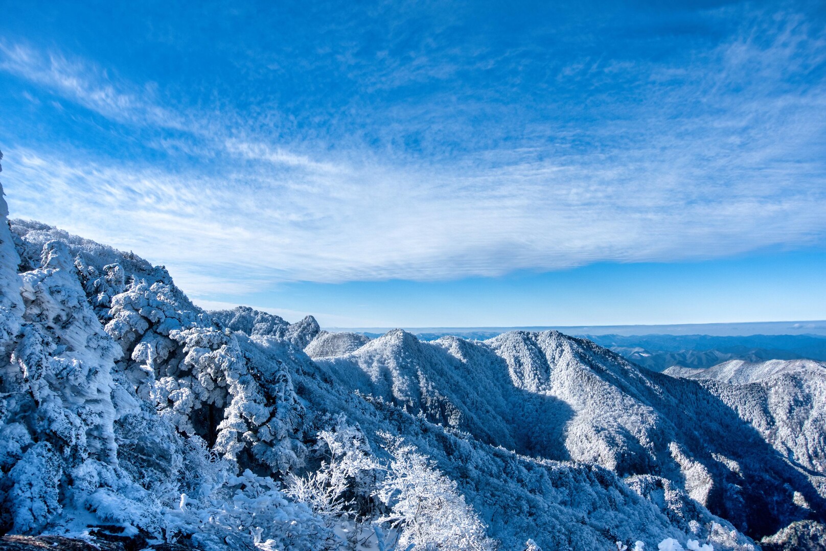 霧氷はじめは大峯山（山上ヶ岳） / persさんの観音峯山・大普賢岳・山上ヶ岳・稲村ヶ岳の活動データ | YAMAP / ヤマップ