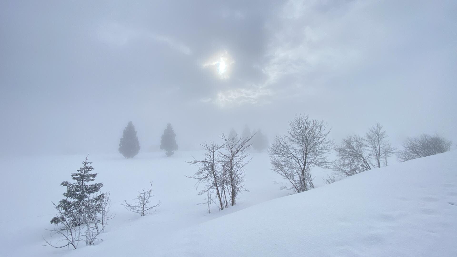 山本山-2025-01-26 / korn4317さんの山本山の活動データ | YAMAP / ヤマップ