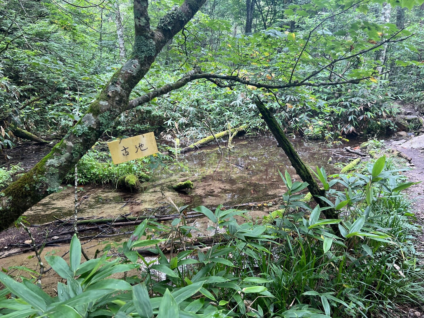 Tamiyoさんの投稿したフィールドメモ | YAMAP / ヤマップ