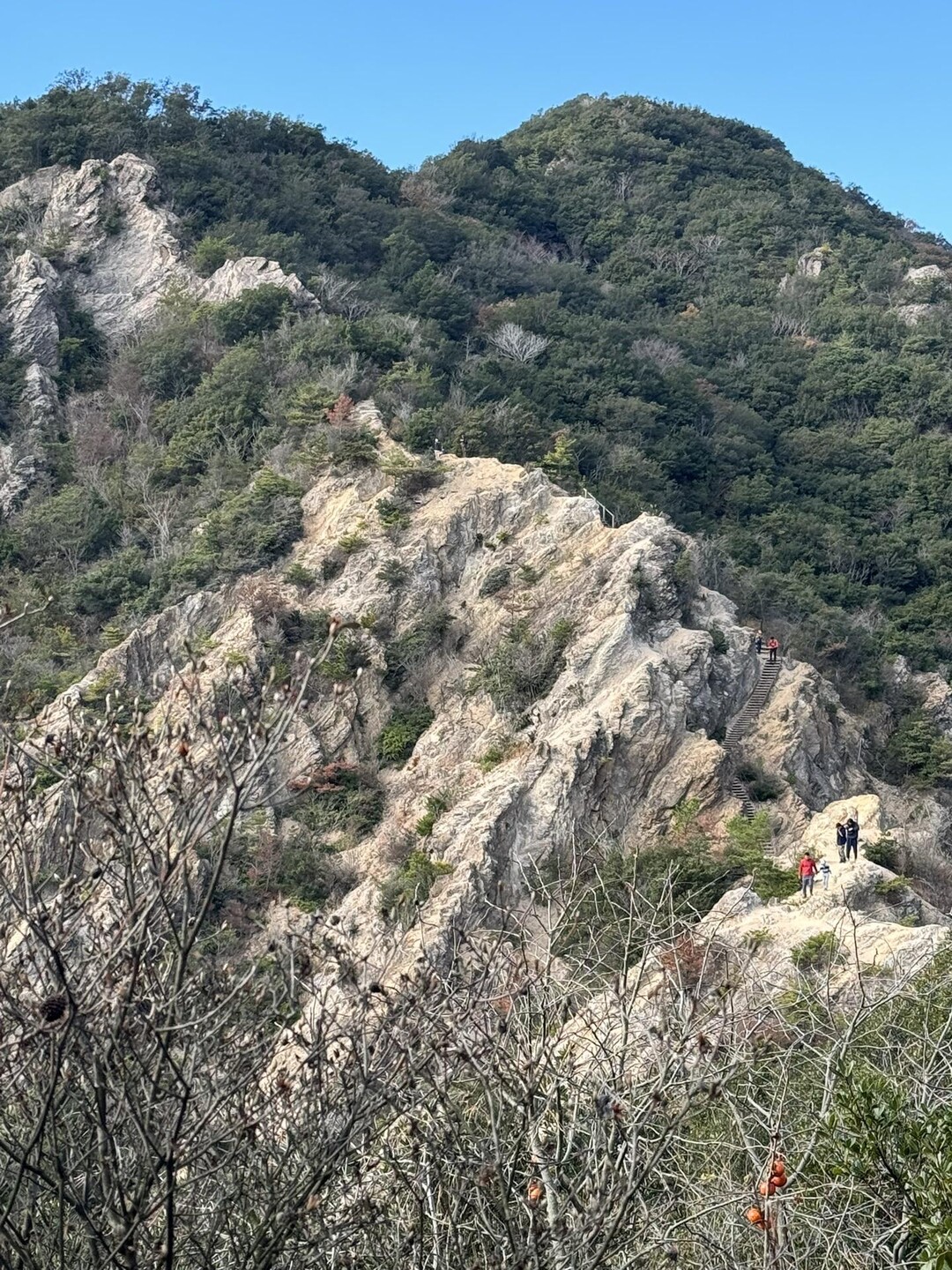 須磨アルプス / mk_013さんの六甲山・長峰山・摩耶山の活動データ | YAMAP / ヤマップ