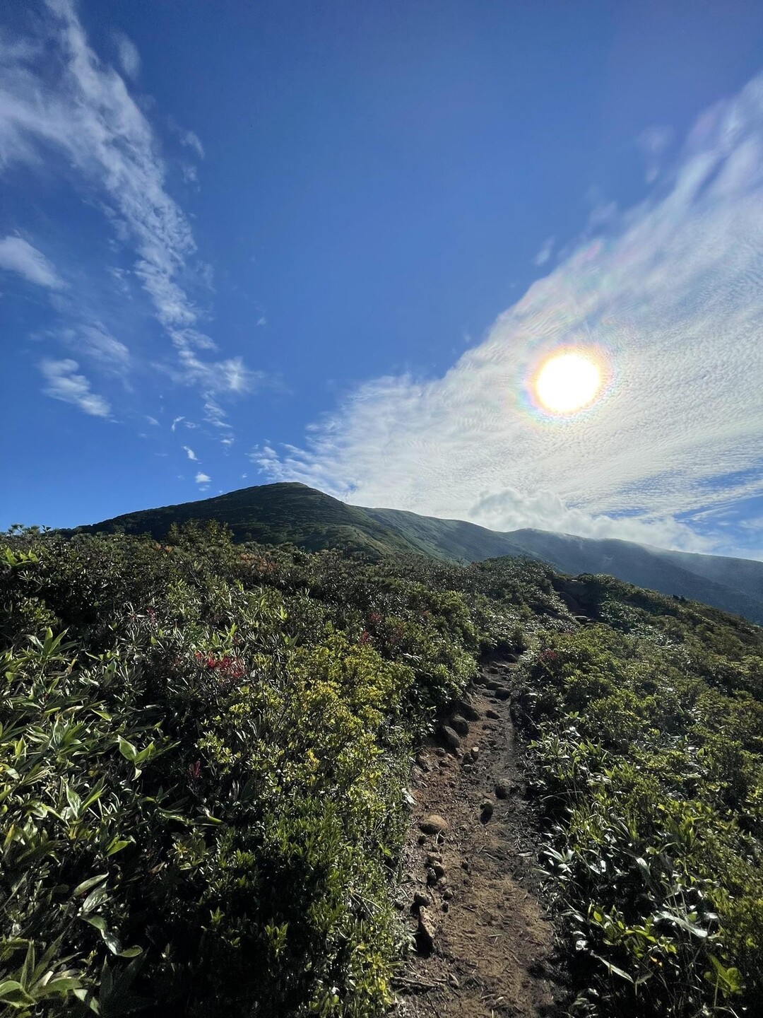 松手山・平標山・前仙ノ倉山・仙ノ倉山 / AYUPさんの仙ノ倉山・平標山・大源太山の活動データ | YAMAP / ヤマップ