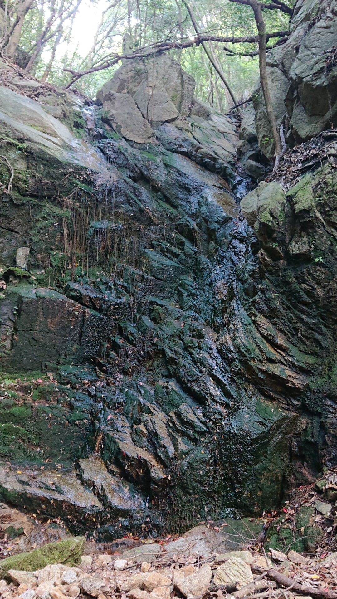 hiro さんの投稿したフィールドメモ | YAMAP / ヤマップ