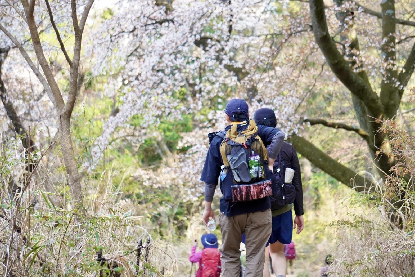 陣馬山縦走トレーニング / Keiichi Iwata さんの高尾山・陣馬山・景信山の活動データ | YAMAP / ヤマップ