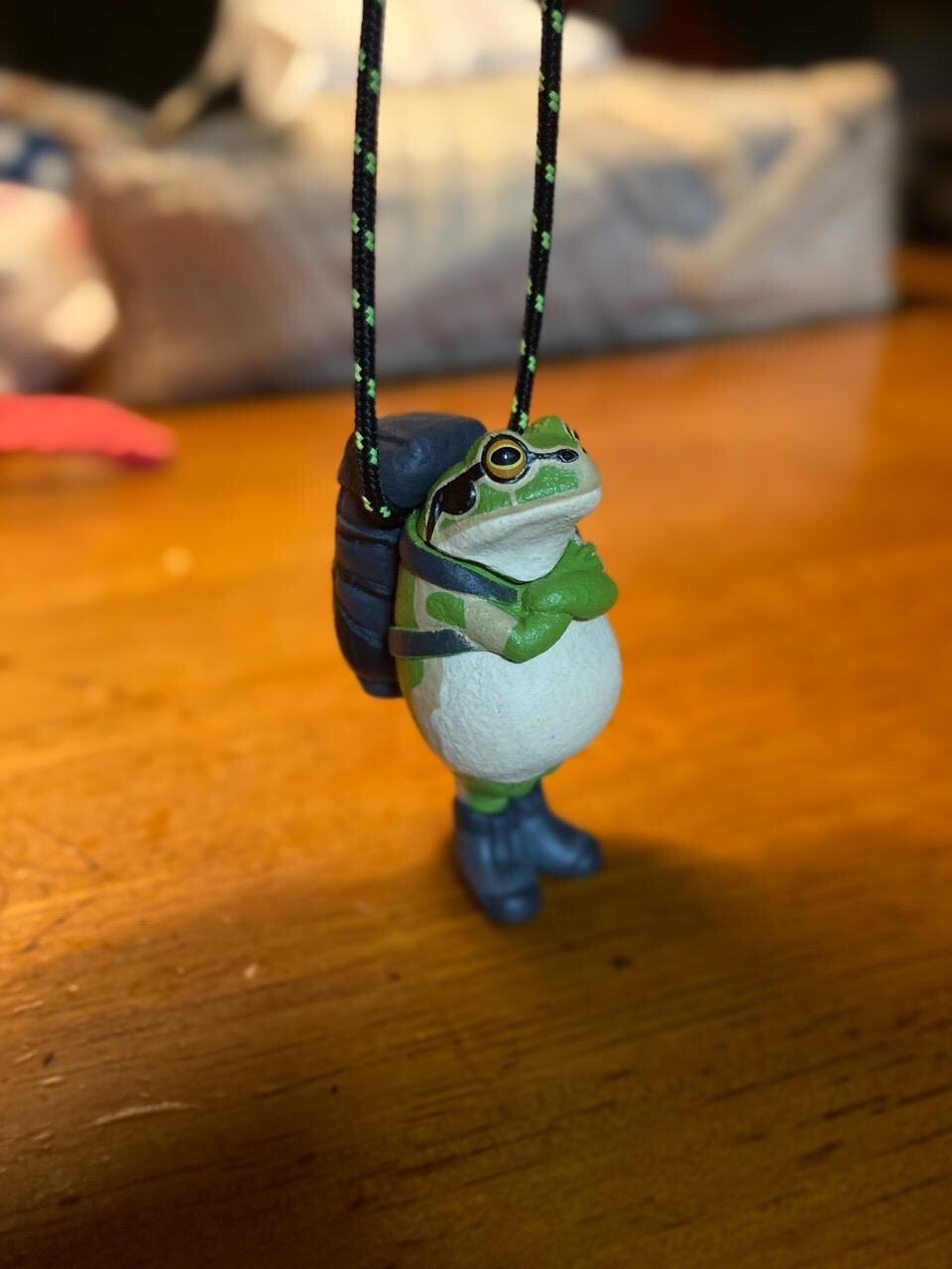 フォロワーさんの見て、即ゲット 無事カエ... / doalaさんのモーメント | YAMAP / ヤマップ