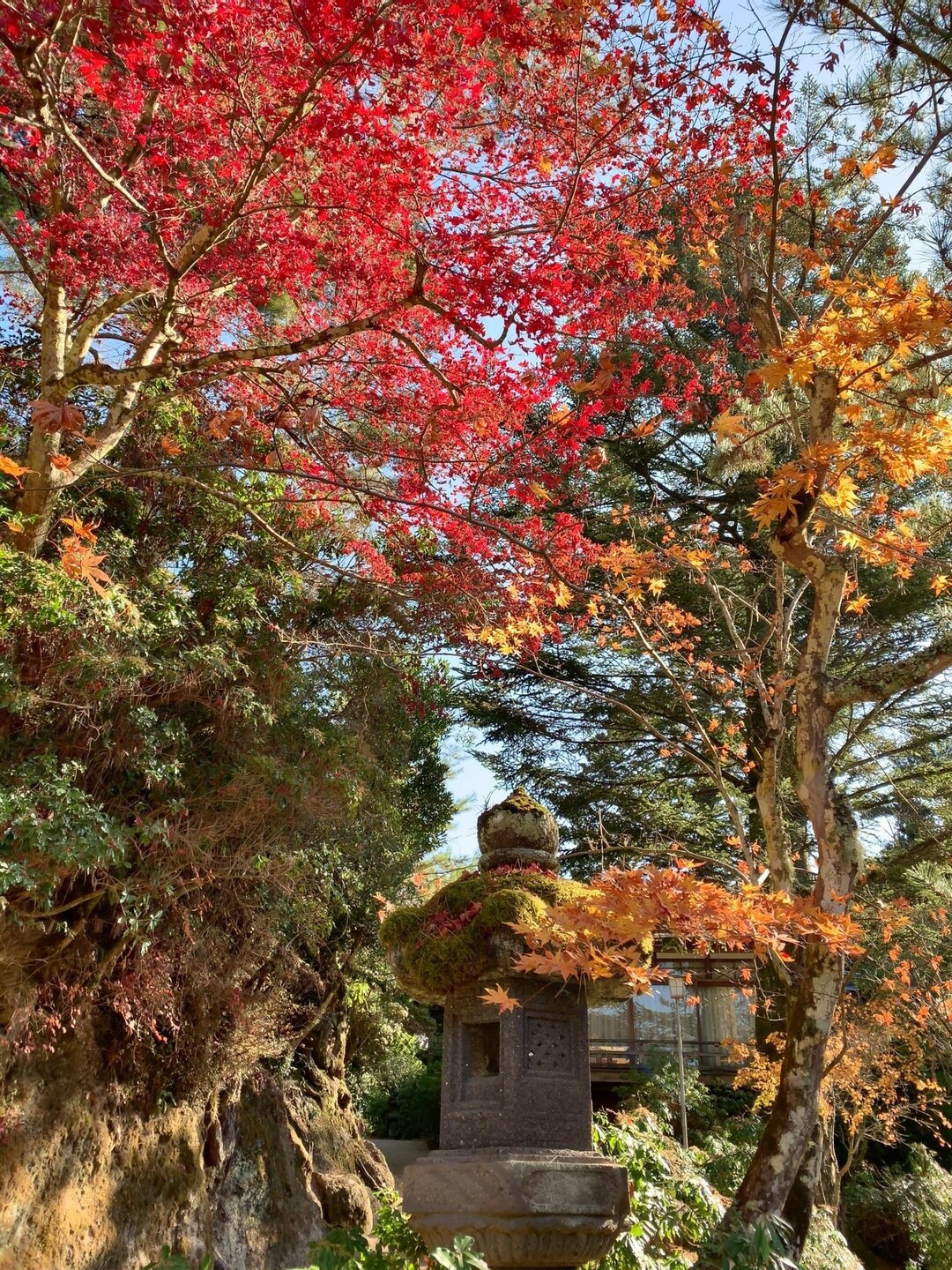 弥山 / (T.T)さんの宮島（厳島）・弥山の活動データ | YAMAP / ヤマップ