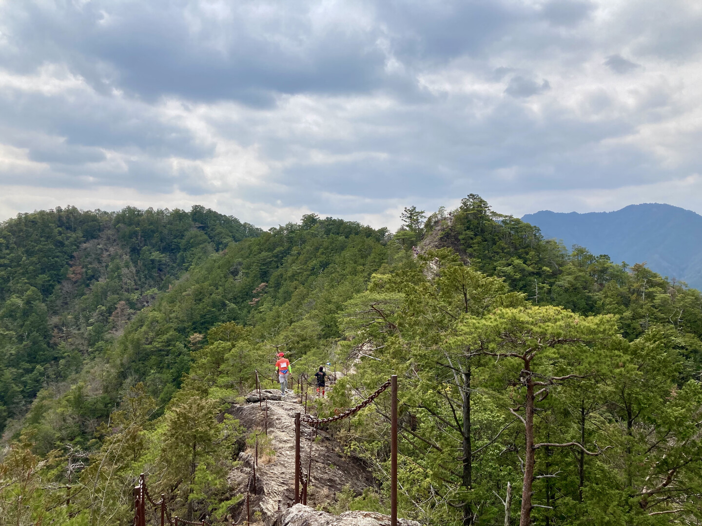 OSJ新城トレイル11K(2021) / しまさんの宇連山・鳳来寺山・岩古谷山の活動データ | YAMAP / ヤマップ