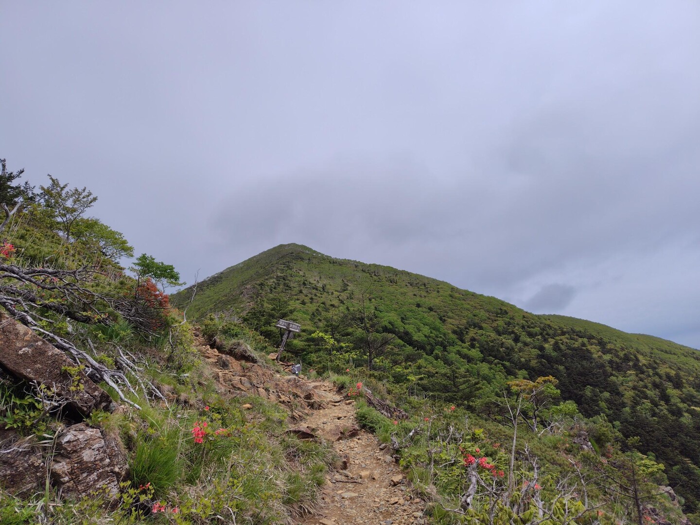アポイ岳 / A1-2075さんのアポイ岳の活動データ | YAMAP / ヤマップ