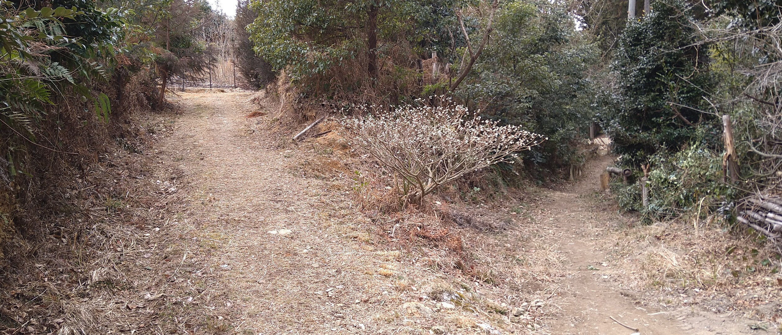 kame11さんの投稿したフィールドメモ | YAMAP / ヤマップ