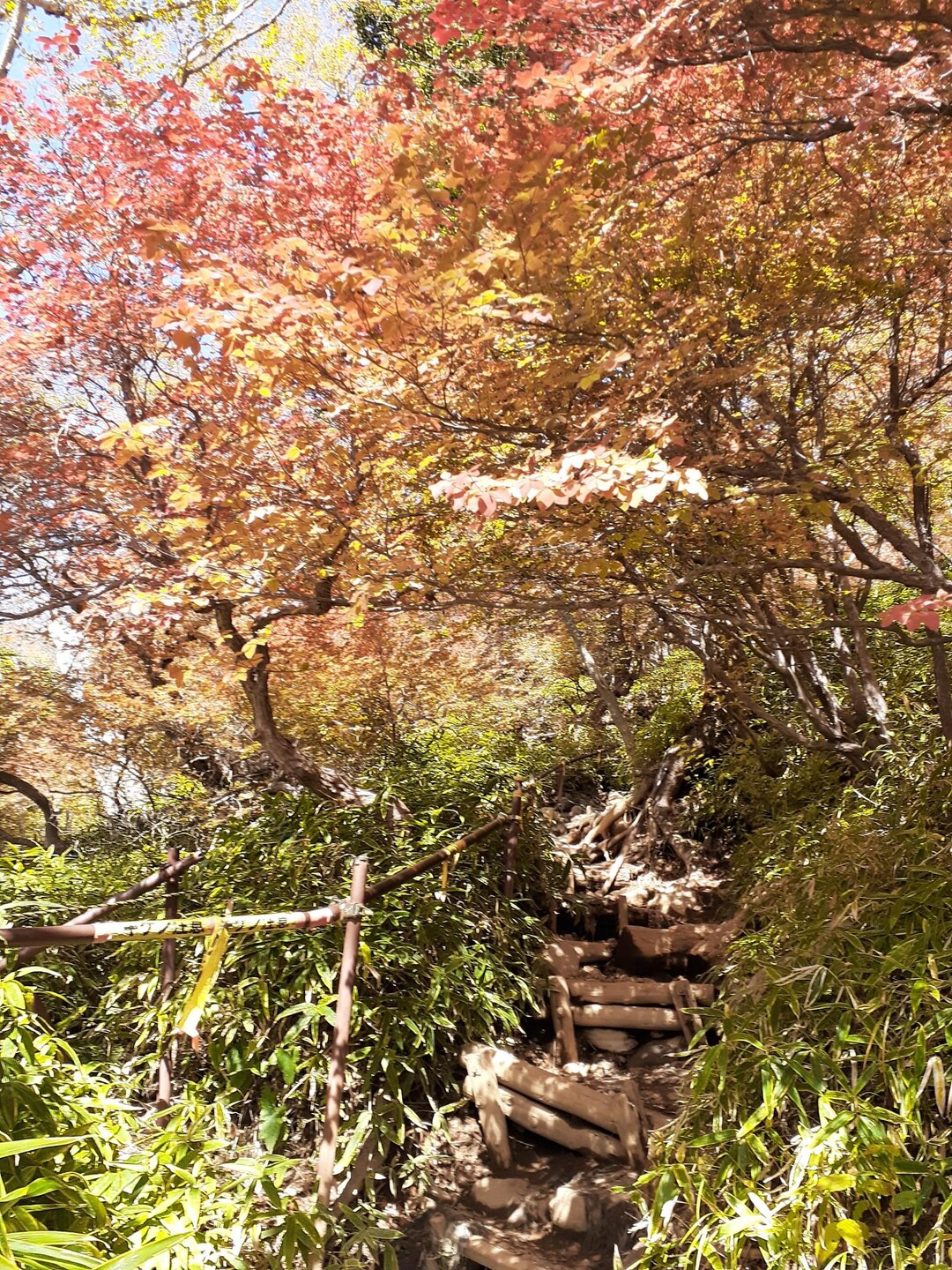 男体山 / TKMさんの男体山の活動データ | YAMAP / ヤマップ