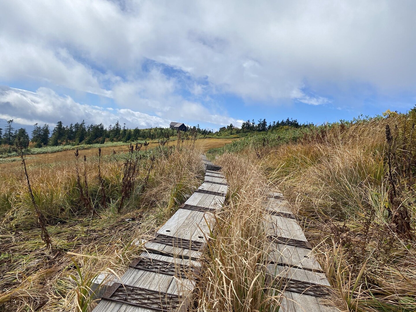 会津駒ヶ岳 / shotaさんの会津駒ヶ岳の活動データ | YAMAP / ヤマップ