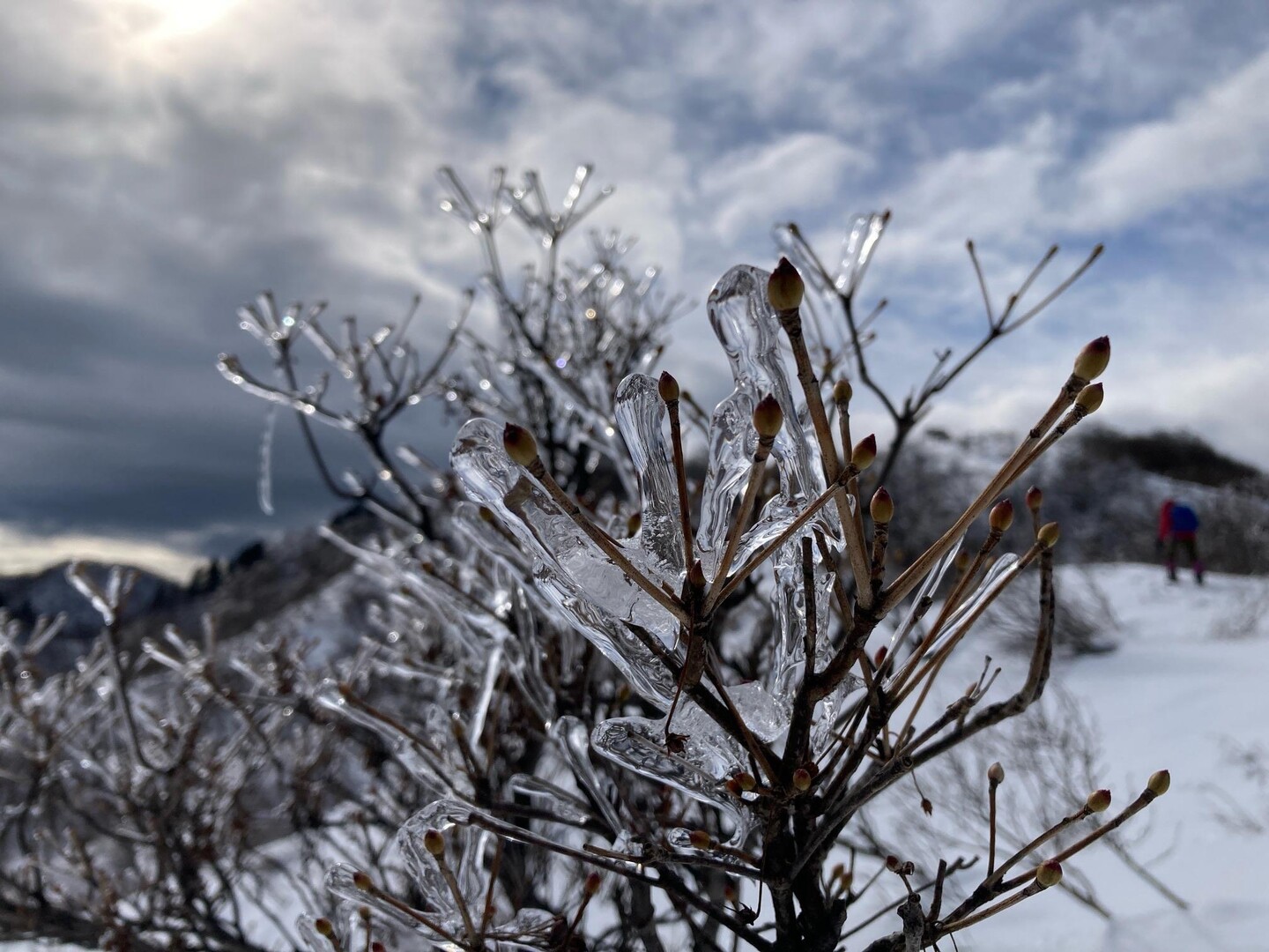 なんとか間に合った貝月山 北尾根から周回 / assiさんの貝月山の活動データ | YAMAP / ヤマップ