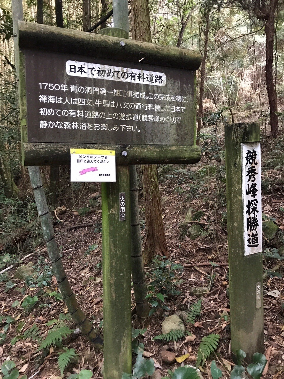 Meeyaさんの投稿したフィールドメモ | YAMAP / ヤマップ