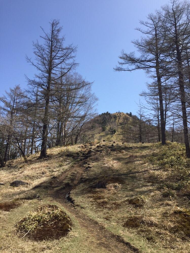 🌸Mt.Kasatoriyama⚡ / 🌸Springthunders⚡さんの和名倉山・笠取山・東仙波の活動データ | YAMAP / ヤマップ