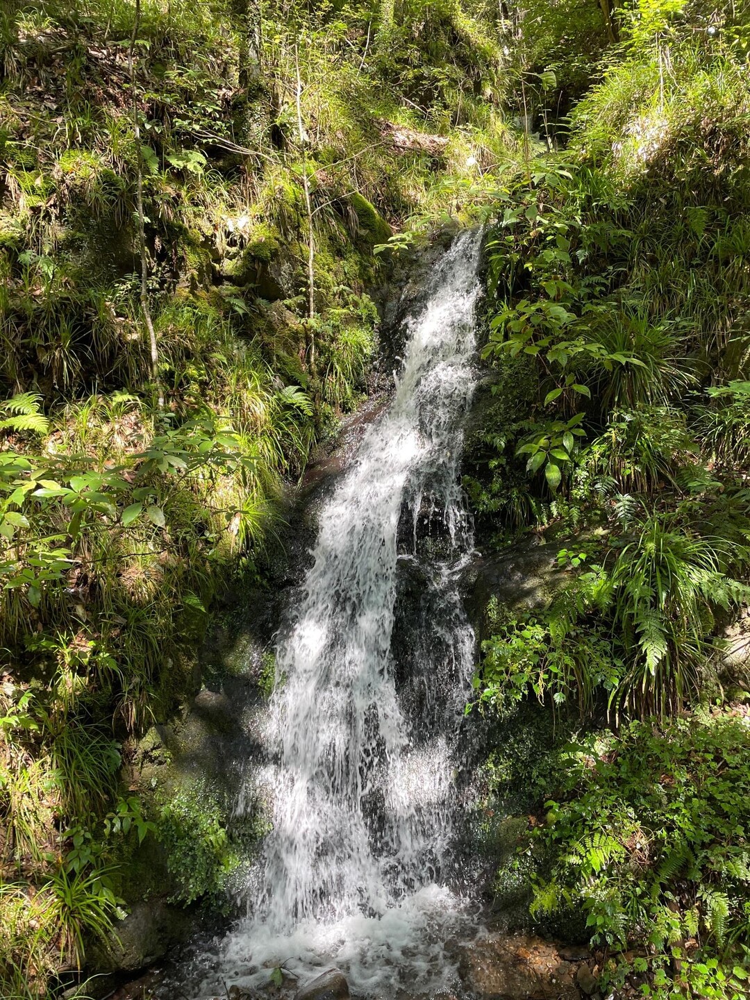 ブッチーさんの投稿したフィールドメモ | YAMAP / ヤマップ