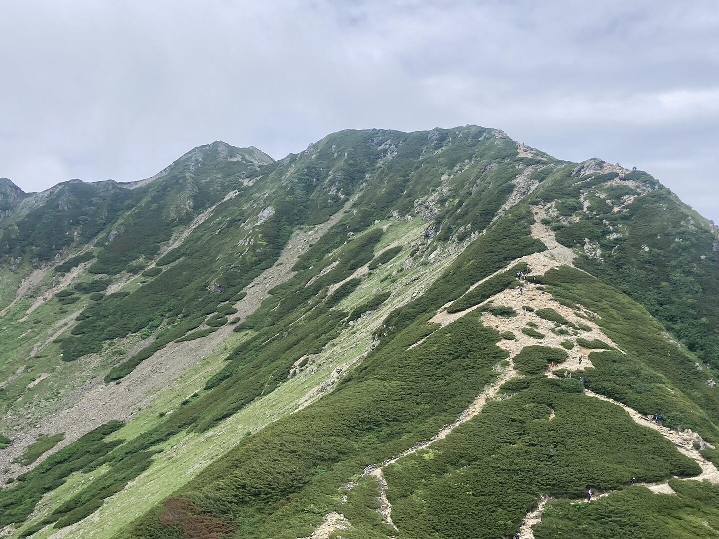 小仙丈ヶ岳・仙丈ヶ岳 / たなか7さんの仙丈ヶ岳・伊那荒倉岳の活動データ | YAMAP / ヤマップ