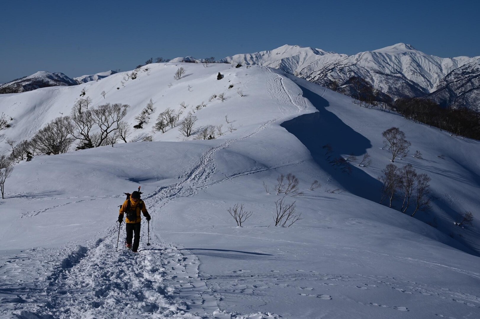 エモーショナルな白き稜線歩き。 / kei ichiさんの大日ヶ岳・毘沙門岳の活動データ | YAMAP / ヤマップ