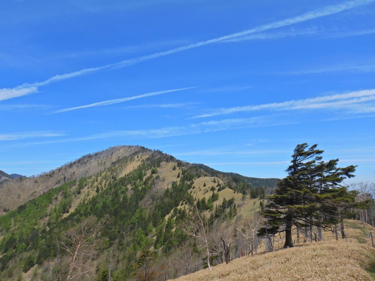 古礼山･雁坂嶺 作場平ピストン / km117さんの和名倉山・笠取山・東仙波の活動データ | YAMAP / ヤマップ