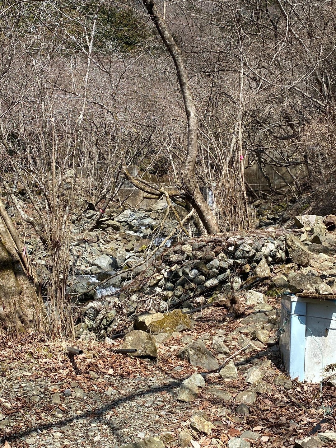 chi-さんの投稿したフィールドメモ | YAMAP / ヤマップ