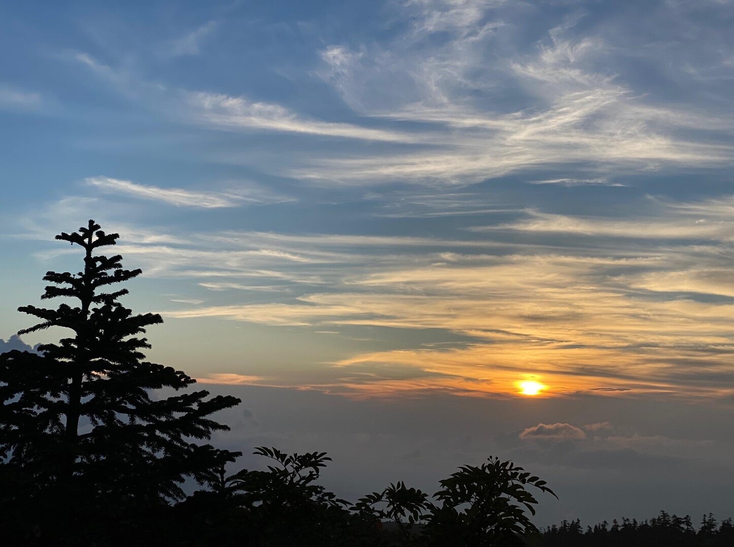 白山・南竜山荘ケビン泊 / sassa1007さんの白山・別山・銚子ヶ峰の活動データ | YAMAP / ヤマップ