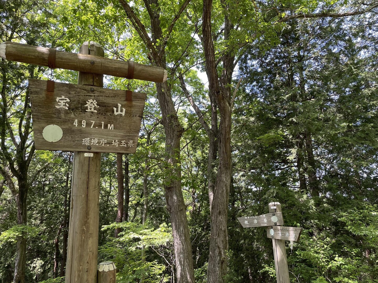 宝登山 / HALさんの宝登山・長瀞アルプス・不動山・陣見山・鐘撞堂山の活動データ | YAMAP / ヤマップ