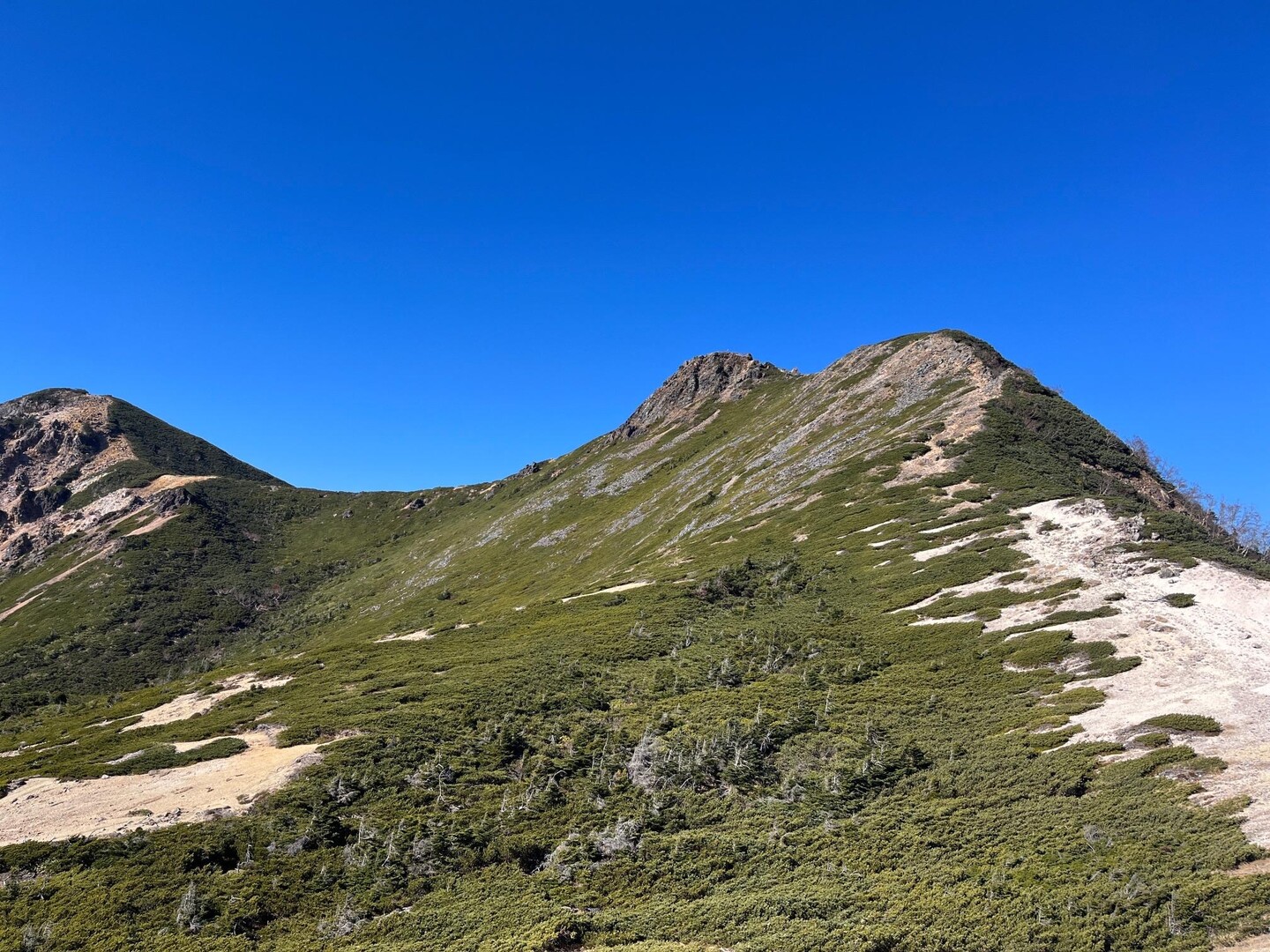 天狗岳（西天狗岳）・東天狗岳・根石岳 / Emilyさんの八ヶ岳（赤岳・硫黄岳・天狗岳）の活動データ | YAMAP / ヤマップ