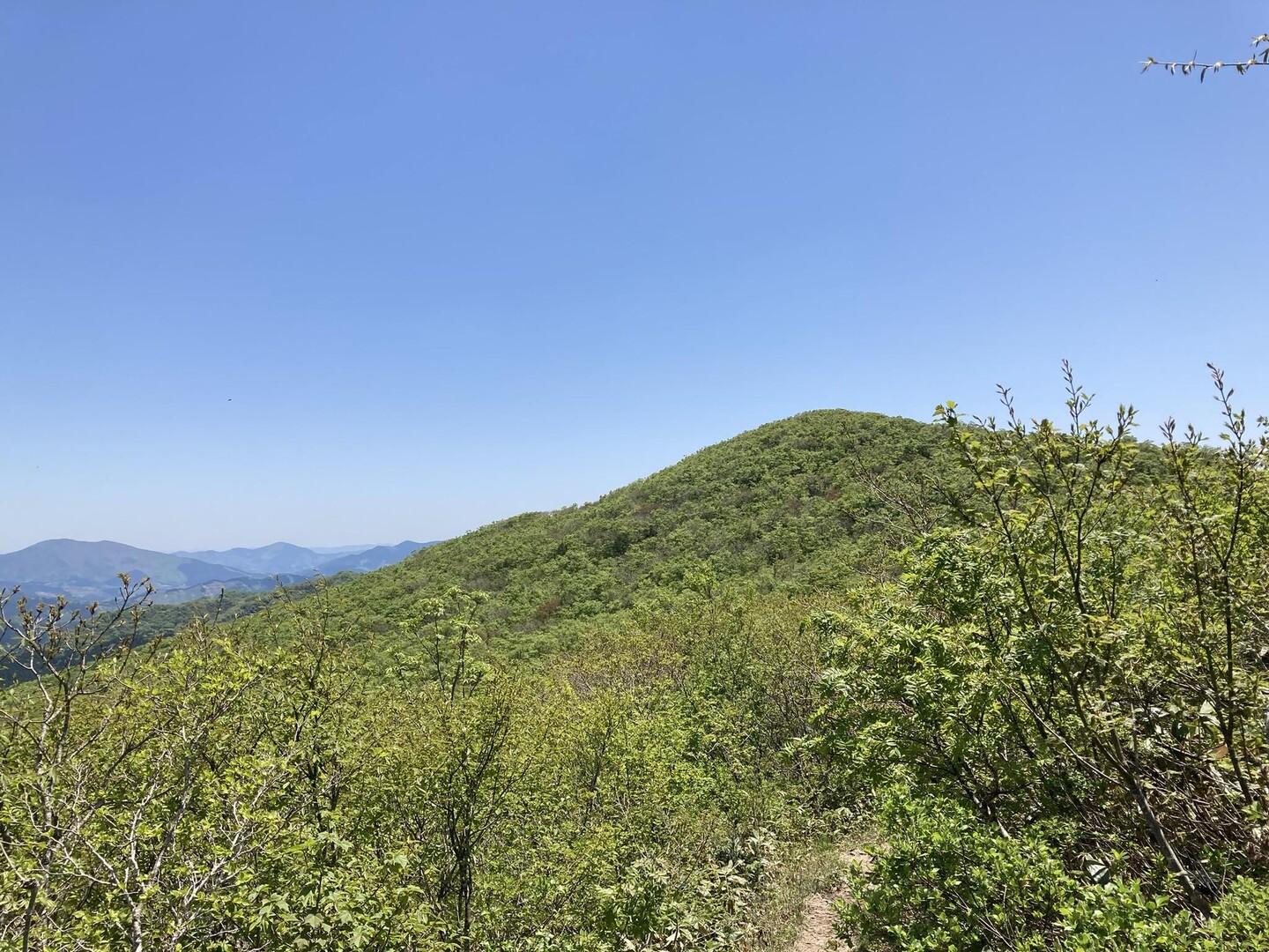 烏帽子山・比婆山 / snor_manさんの比婆山・立烏帽子山・吾妻山の活動日記 | YAMAP / ヤマップ