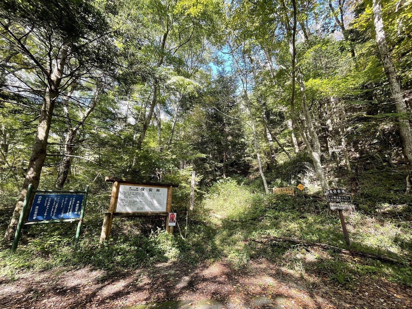 手倉山-2022-10-16 撤退🙅‍♂️ 旧うつくしま百名山 / eeeeeeiichi さんの五十人山の活動データ | YAMAP / ヤマップ