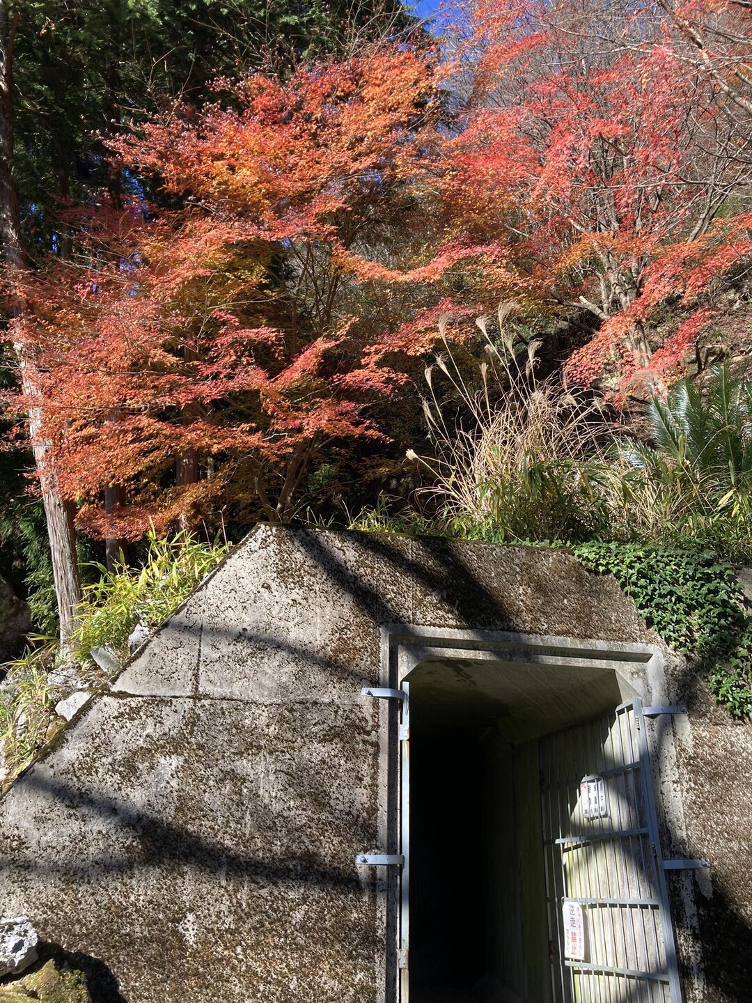 関ヶ原鍾乳洞 / maecciさんの松尾山・城山の活動データ | YAMAP / ヤマップ