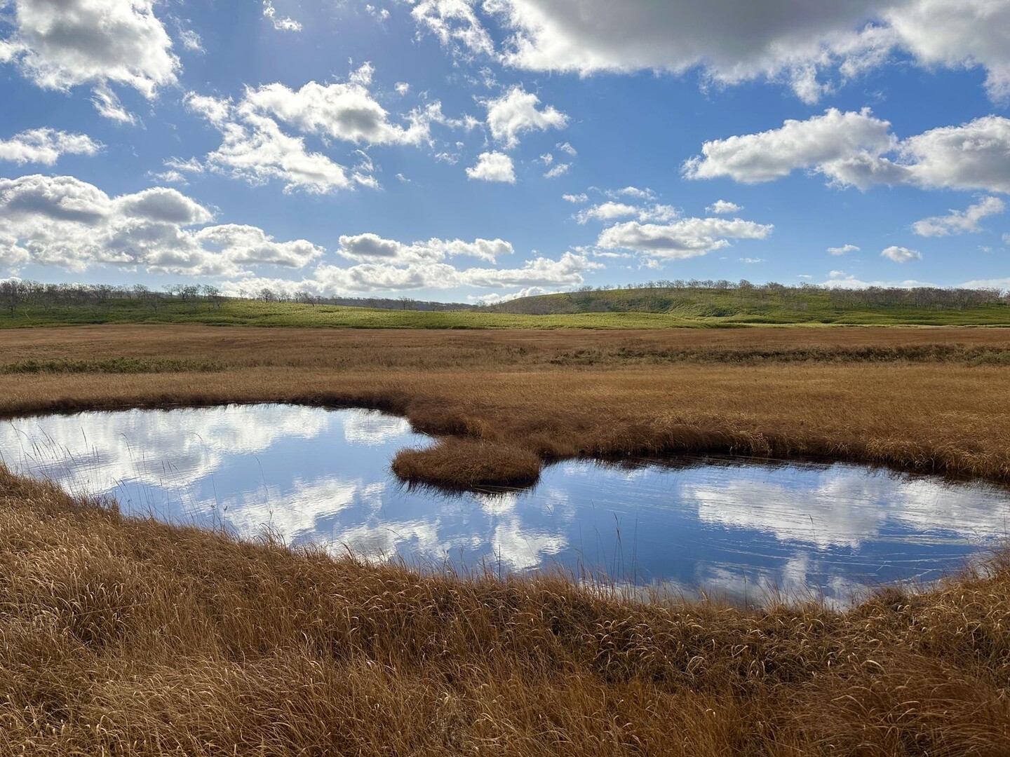 金色の絨毯の雨竜沼湿原 2024-10-13 / yuuさんの暑寒別岳の活動データ | YAMAP / ヤマップ