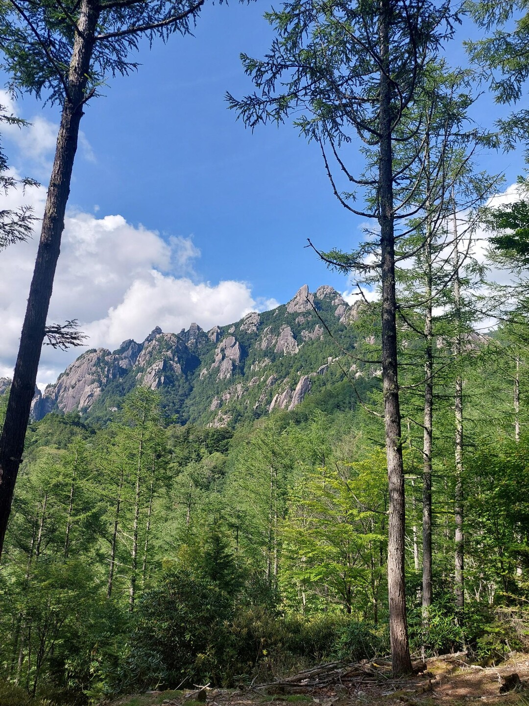 瑞牆山 / yamasanさんの瑞牆山・金峰山の活動データ | YAMAP / ヤマップ