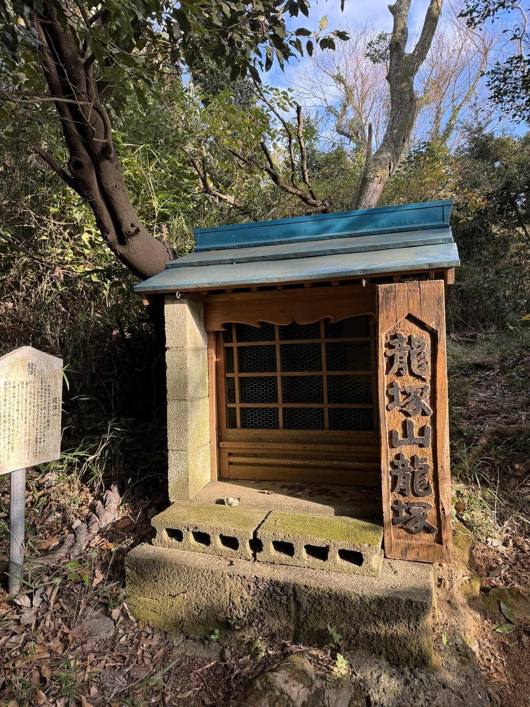 hanaさんの投稿したフィールドメモ | YAMAP / ヤマップ