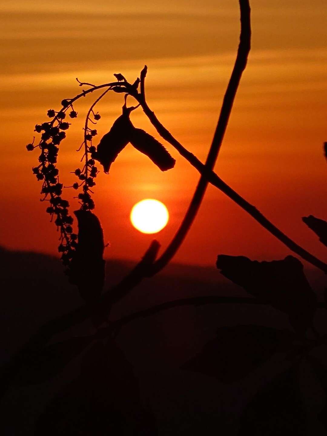 大宮出張の朝、女山までWt+5kg / ta2さんの鳴神山・吾妻山の活動データ | YAMAP / ヤマップ