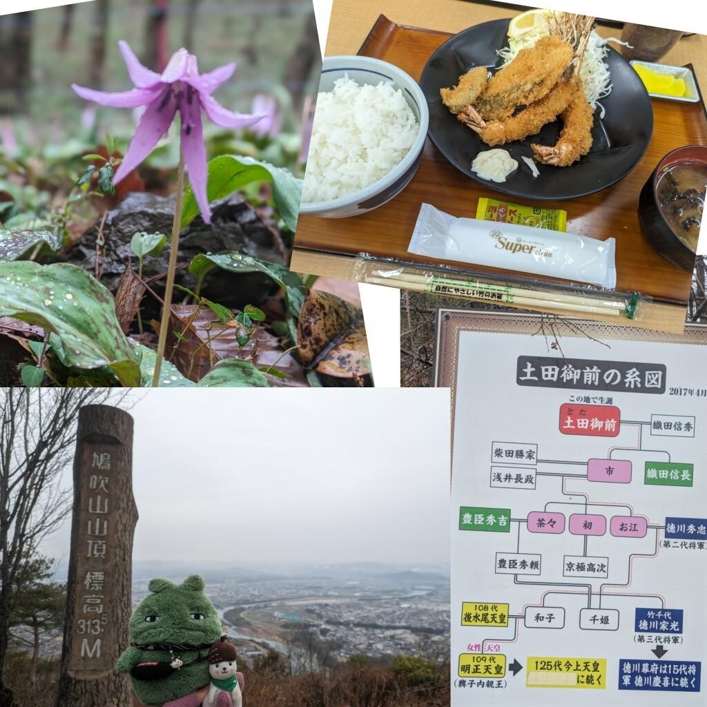 カタクリ🥀ついでに鳩吹山‼️‼️🗻 / minyayonさんの鳩吹山の活動データ | YAMAP / ヤマップ