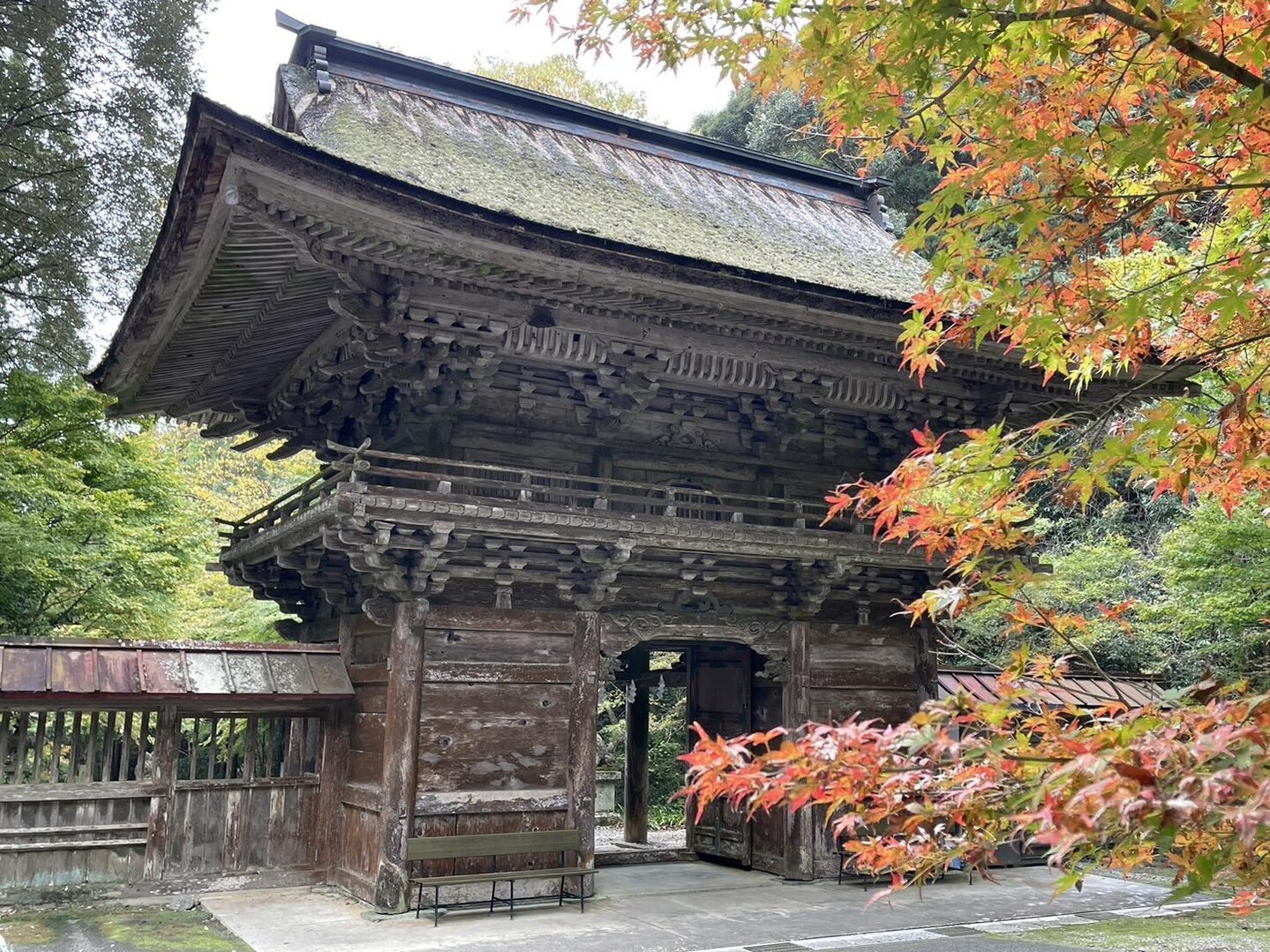 R6.11.14 天王山🍁 / おぼっちゃまくんさんの天王山・誕生山の活動データ | YAMAP / ヤマップ