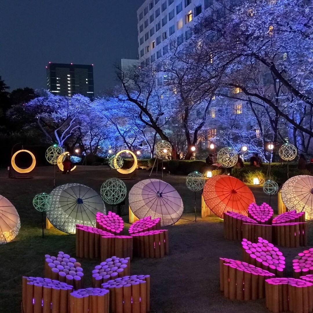 高輪 桜まつり 2024 / NORさんの東京都23区 中央エリアの活動データ | YAMAP / ヤマップ